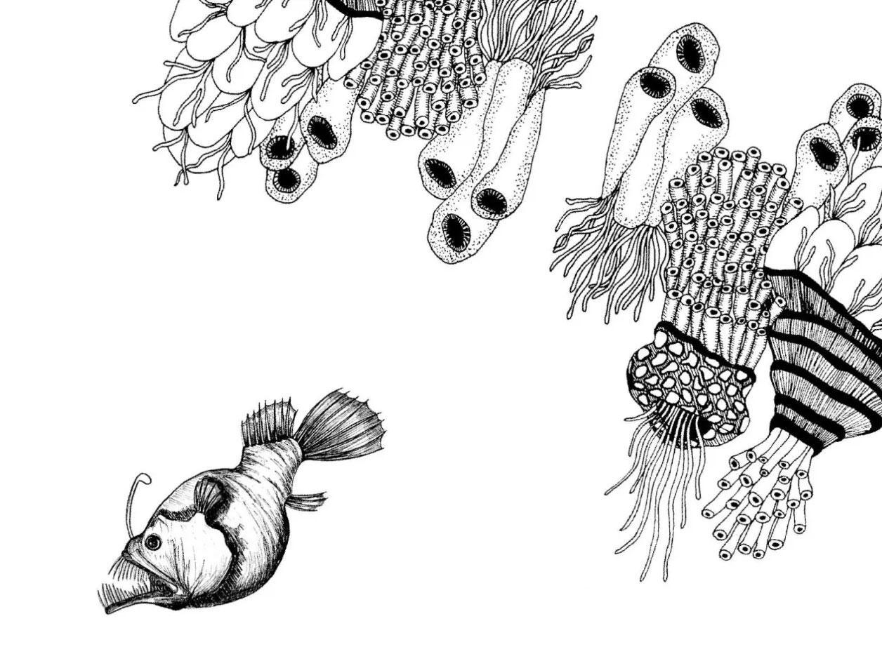 Un posterzine Abyssal Fish Ramp pour Skatoria | Maison Paula