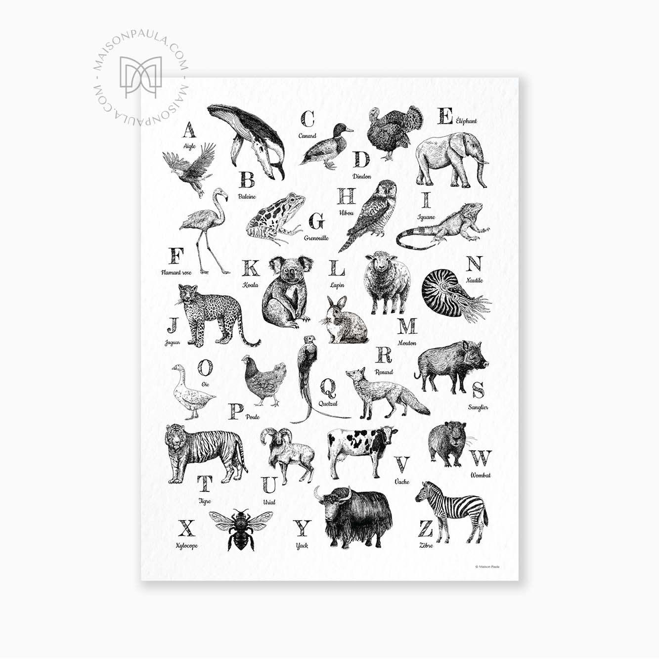 Affiche Abécédaire des animaux illustré | Maison Paula
