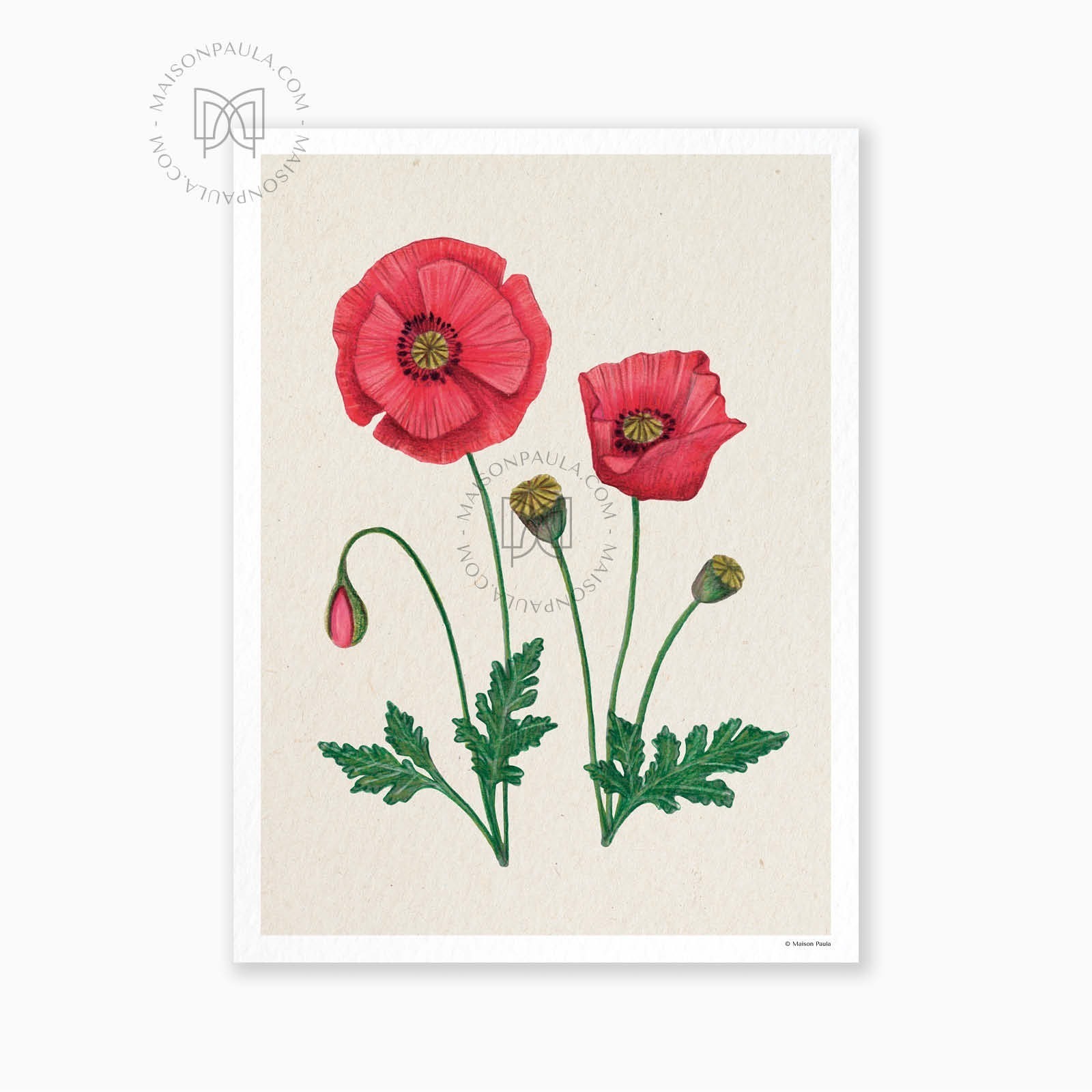 Affiche Fleur Coquelicot | Maison Paula
